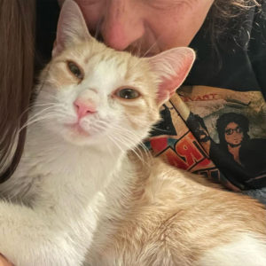 Rescuers Face Agonizing Decision After Sick Kitten Gives Birth