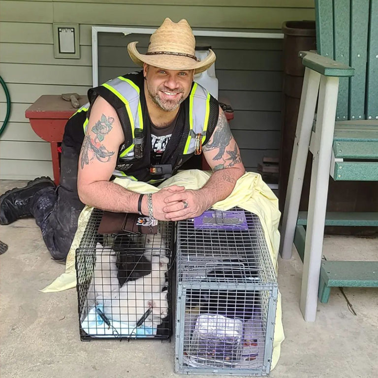 Cowboy Cat Wrangler Encounters Adorable Skunk 'Stinky Twins'