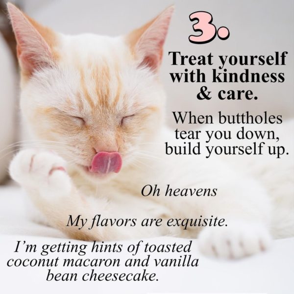 Rescued Kentucky Kitty's Advice on Dealing with Stinky Moments