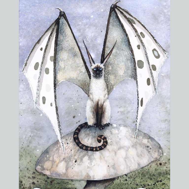 Mystical 'Battycats' Fly in Artwork Inspired by Woman's Cats