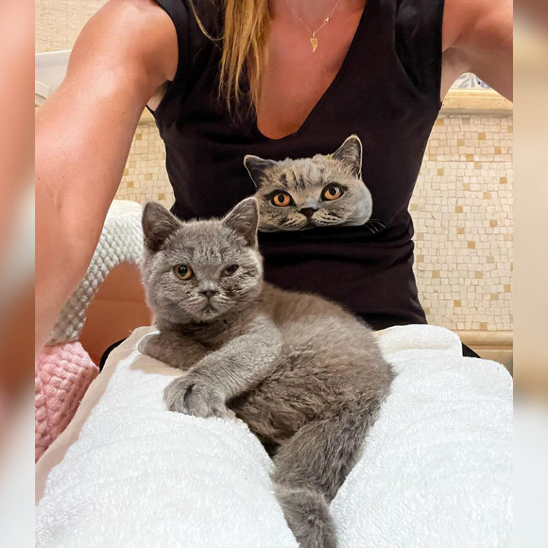 Rescued Kitten Cocomelon and Jessica Rabbit Become Besties