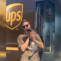 ‘CEO Cat’ Koda Has the Cutest Friendship With the Delivery Driver