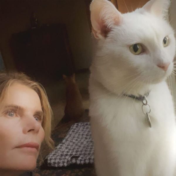 Hemingway Cats Supurrvise Cleanup After Hurricane Ian