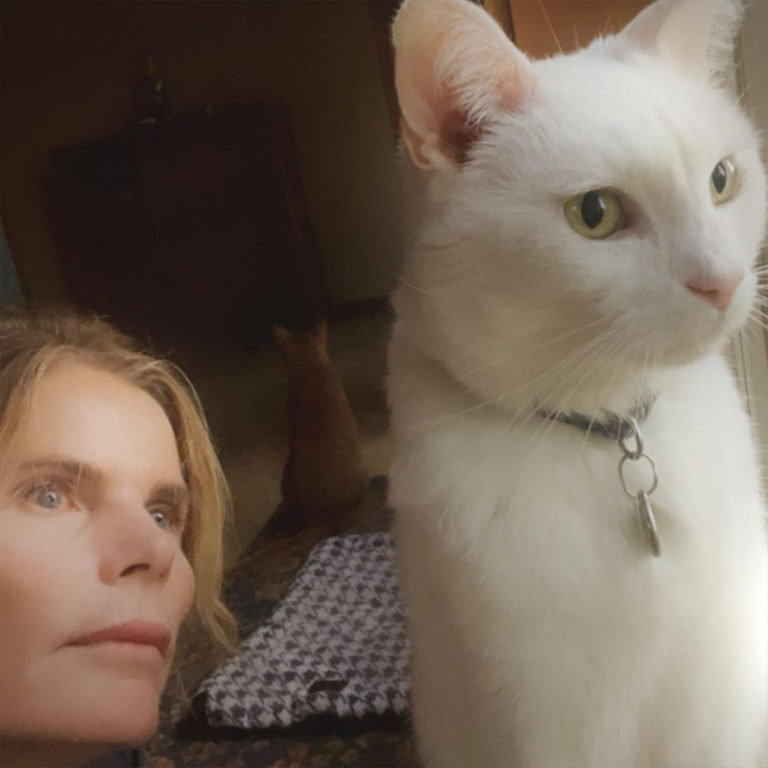 Hemingway Cats Supurrvise Cleanup After Hurricane Ian