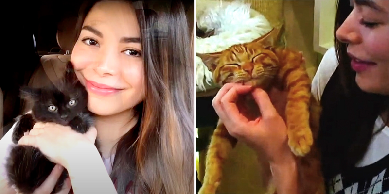 Miranda Cosgrove: 'I Think Everybody Should Try Fostering'