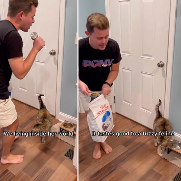 Georgia Singer Gets Caught Singing to Frankie the Cat Again