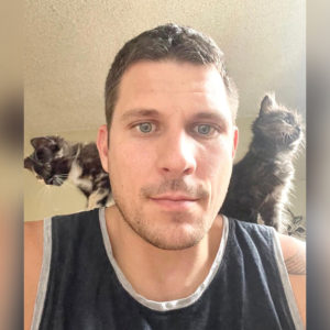 'Absolute Magic' When Kittens Fiona Apple and Sting Find a Home