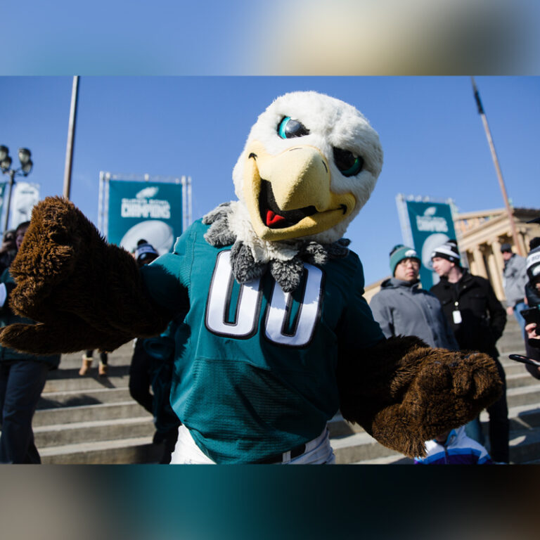 Philly Rescuers 'Swoop' In To Save A Purrfect Gentleman Cat