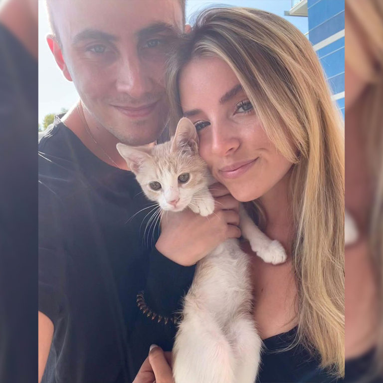 Happy Season Finale for Kittens Named for Succession Characters