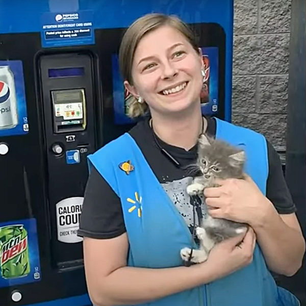 Woman Spends Breaks Freeing Kitten Trapped in Pepsi Machine
