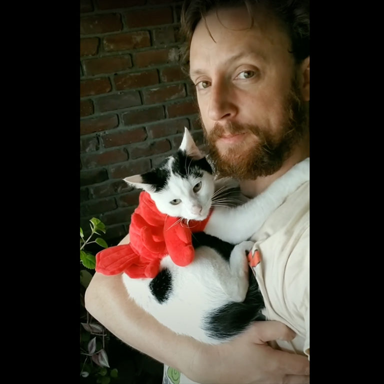 How These Talking Lobster Cats Became a Holiday Favorite