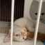 Rescuers Save Starving Warehouse Cats and Meet Sweetest Cat