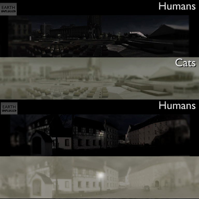 A Cat’s Vision Is Like a Soft Insta-Filter but With Night Vision