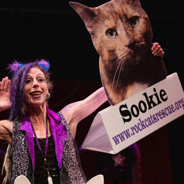 Who Knew You Could Travel the Country With a Cat Rock Band?