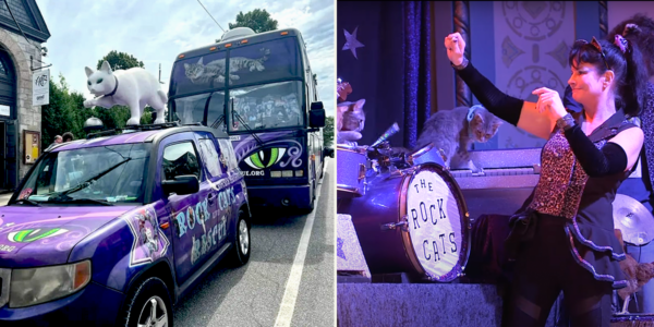 Who Knew You Could Travel the Country With a Cat Rock Band?