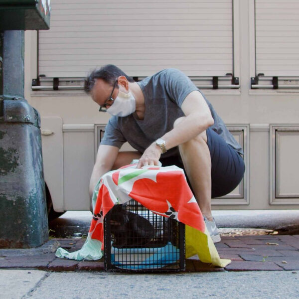 Cat Daddies Across America Share Their Stories of Loving Cats