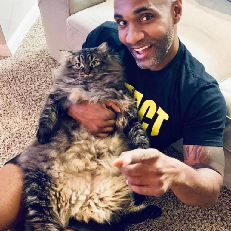 Cat Daddies Across America Share Their Stories of Loving Cats