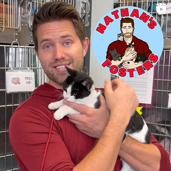 Nathan The CatLady Rolls Out Welcome for Nathan's Fosters