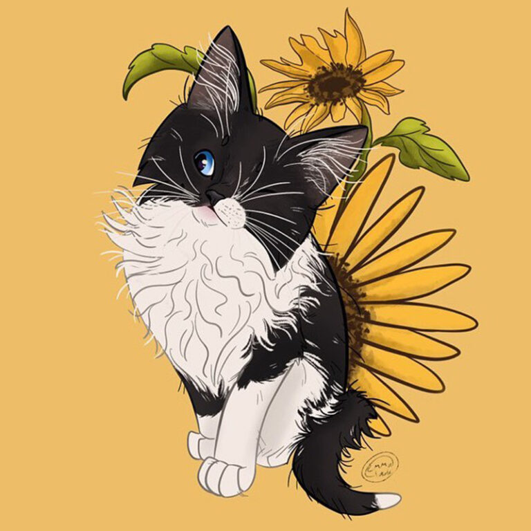 Kitten Named 'Bug' Has One Eye and Nostril Is Doubly Sweet