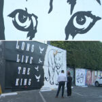 How One Mountain Lion Dubbed P-22 Changed the World