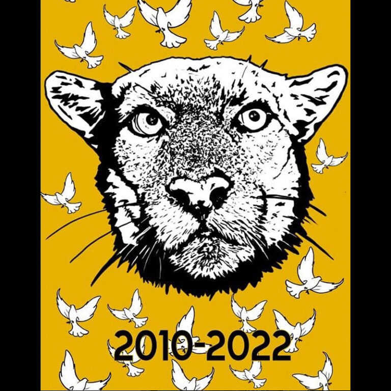 How One Mountain Lion Dubbed P-22 Changed the World