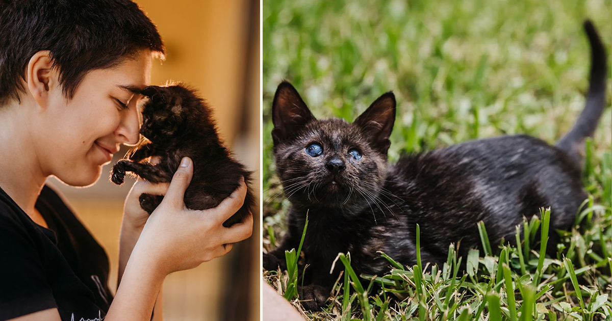'Sticky' the Blind Tripod Kitten Captures Foster Mom's Heart