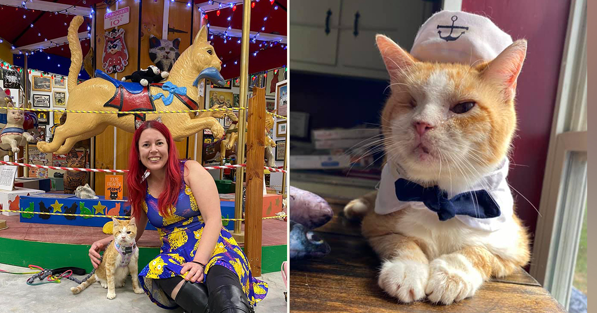 Traveling Ambassacat Captain Patch and Signs of Osteoarthritis