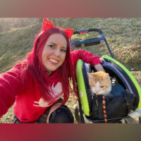 Traveling Ambassacat Captain Patch and Signs of Osteoarthritis