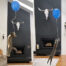 Loki Loves to See His Reflection with a Balloon in the Glass Door
