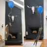 Loki Loves to See His Reflection with a Balloon in the Glass Door