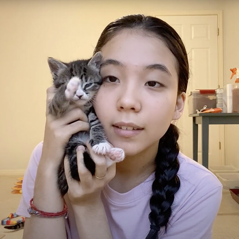 Rescuers Share Soothing 'Kitten ASMR' of Carefree Foster Kittens