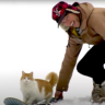 'Smagical' Snowskating Cats That Love Wild Rides in the Snow