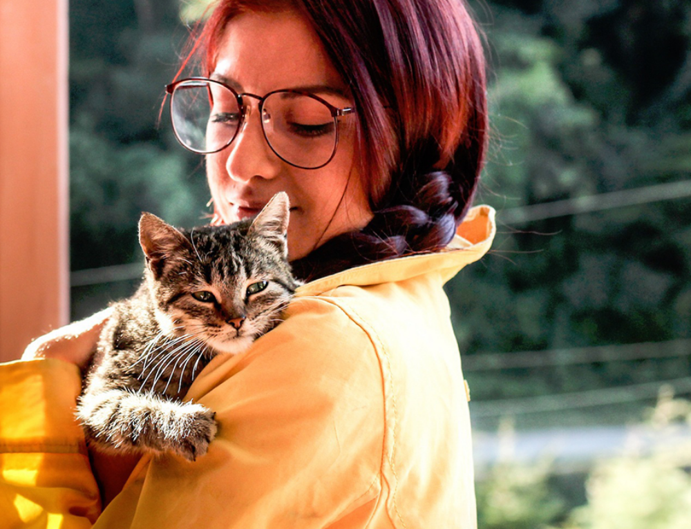 Woman Rescues Kitten Nala from Street and Her Cat Falls in Love