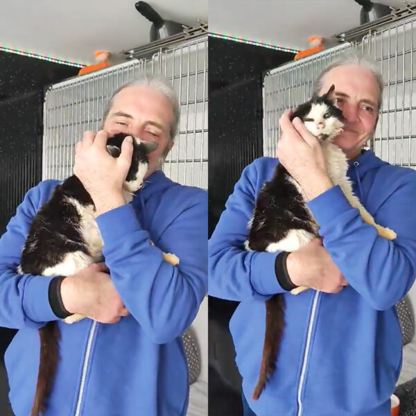 Kizzy, the 25-Year-Old Cat, Cried When Reunited with Dad