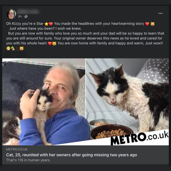 Kizzy, the 25-Year-Old Cat, Cried When Reunited with Dad