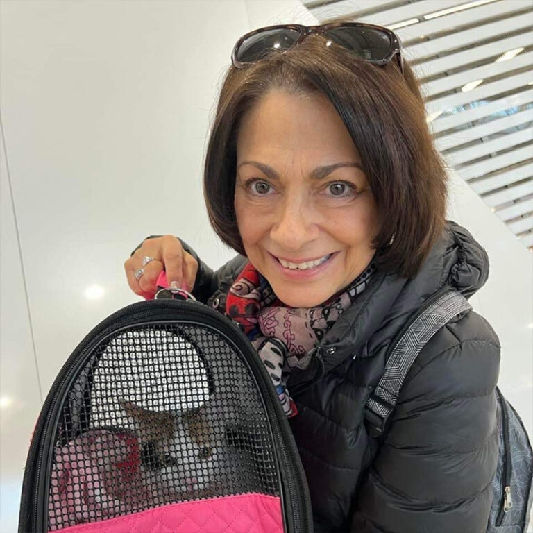 Tripod Kitten Found Under Car Can Do Everything Other Cats Do