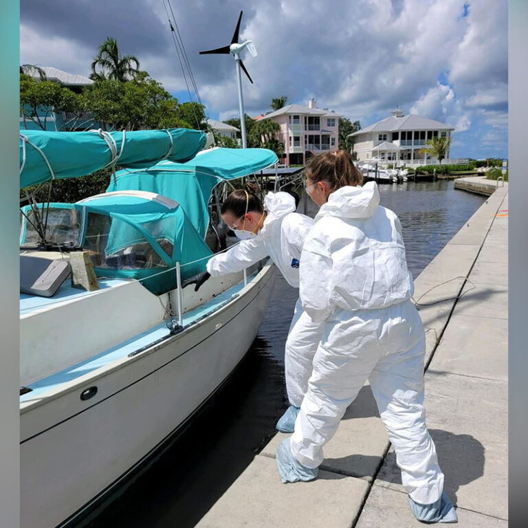 Captain Jack the Cat Saved on Treasure Coast After Owner Died