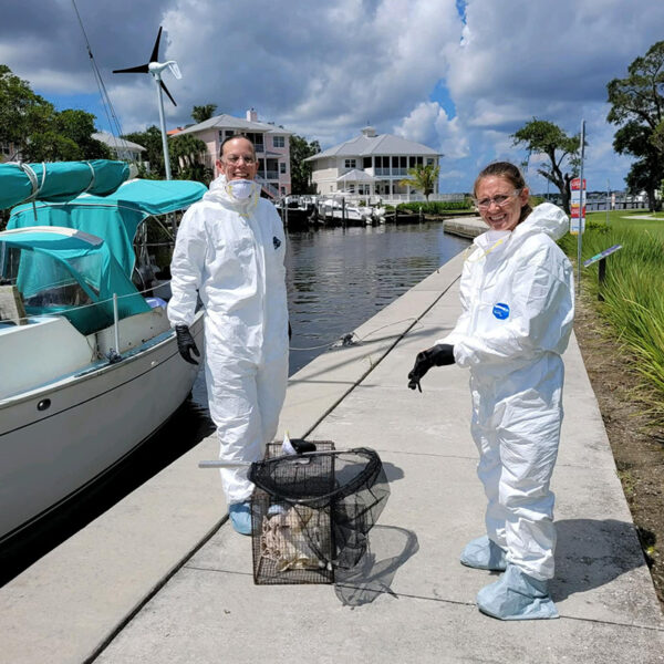 Captain Jack the Cat Saved on Treasure Coast After Owner Died