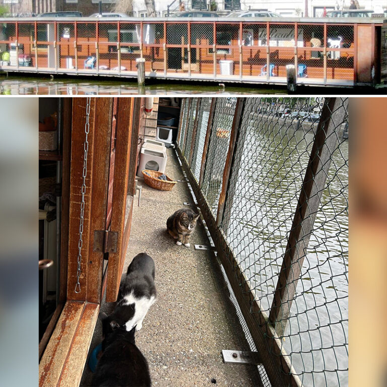 Amsterdam's Floating Cat Shelter, De Poezenboot, Afloat 55 Years