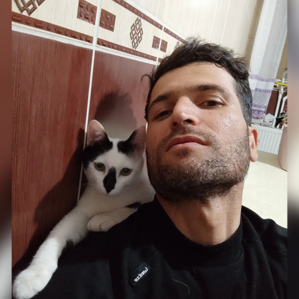 Cat Rescued from Earthquakes Won't Leave Firefighter's Side