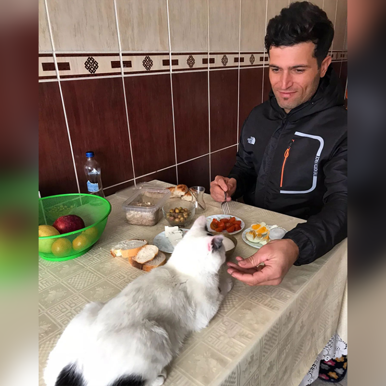 Cat Rescued from Earthquakes Won't Leave Firefighter's Side