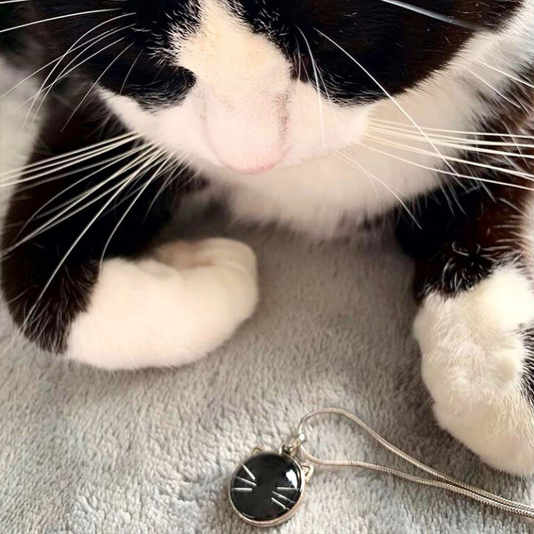 A Fallen Whisker Becomes Wearable Tribute to Feline Family