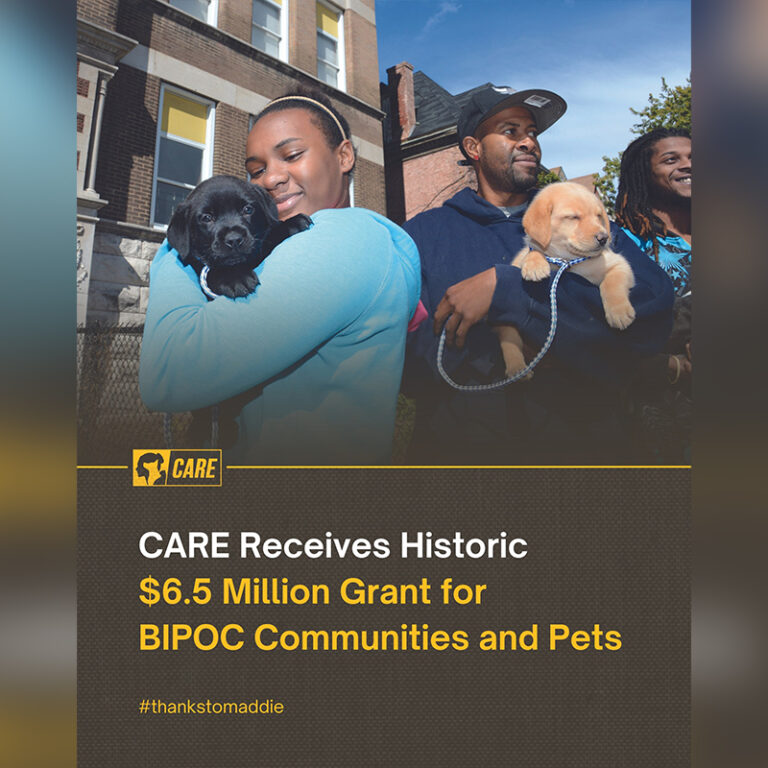 6.5 Million Grant to CARE to Advance Inclusion in Animal Welfare