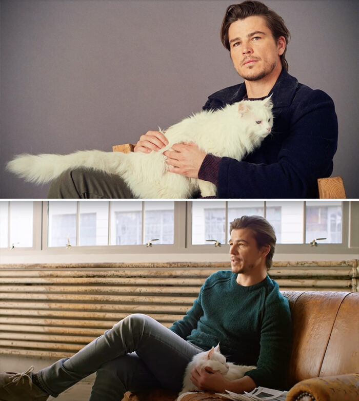 Destress with Cat Dad Therapy Featuring a Few Famous Cat Dads