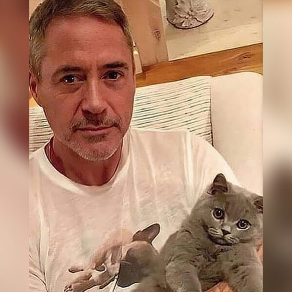 Destress with Cat Dad Therapy Featuring a Few Famous Cat Dads