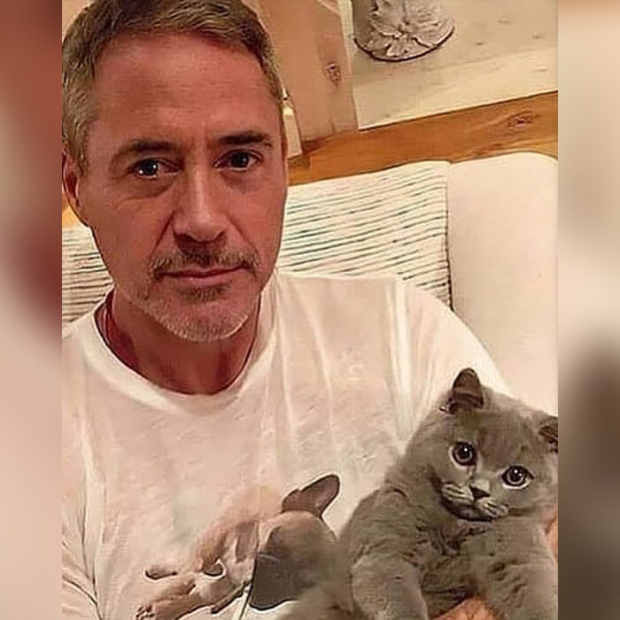 Destress with Cat Dad Therapy Featuring a Few Famous Cat Dads