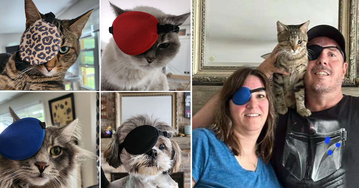 Family Wears Eye Patches to Celebrate Adopting One-Eyed Doug
