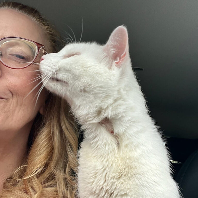 Long-Lost Cat's Healing Reunion with Family After String of Events