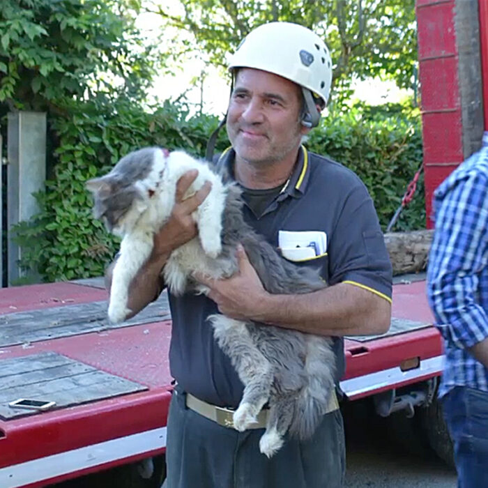 Italian Firefighters Find Rocco the Cat 32 Days After Earthquake