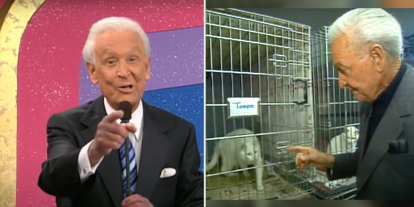 Why Bob Barker Loved Being for Spaying and Neutering